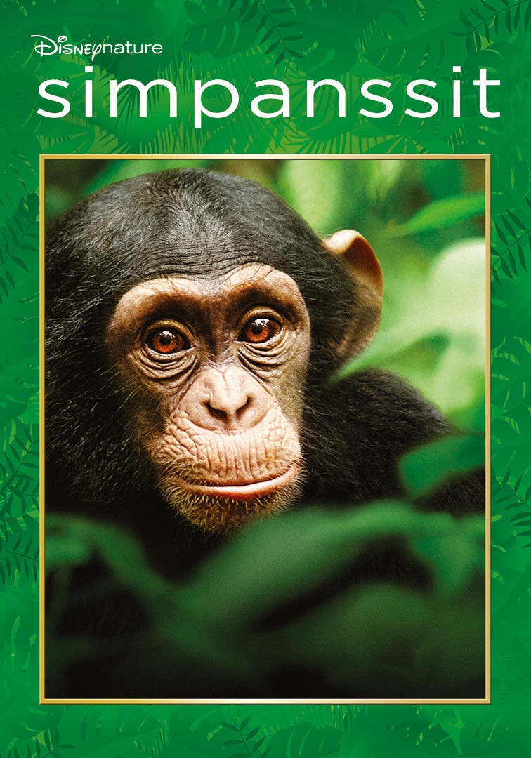 Simpanssi nimeltä Oscar | Elisa Viihde